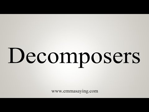 How To Say Decomposers