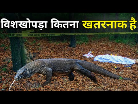 Monitor lizard full details : विशखोपड़ा कितने खतरनाक होते हैं पूरी जानकारी