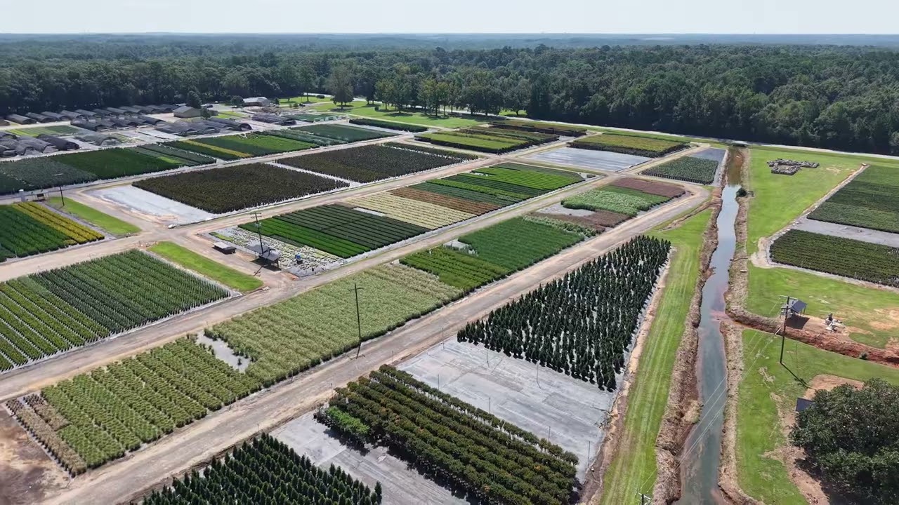 Tom Dodd Nurseries, Inc. Virtual Tour 