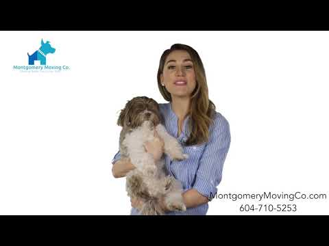 ORGANIZING A MOVE FOR THE NEW YEAR! – Cathy Hanson