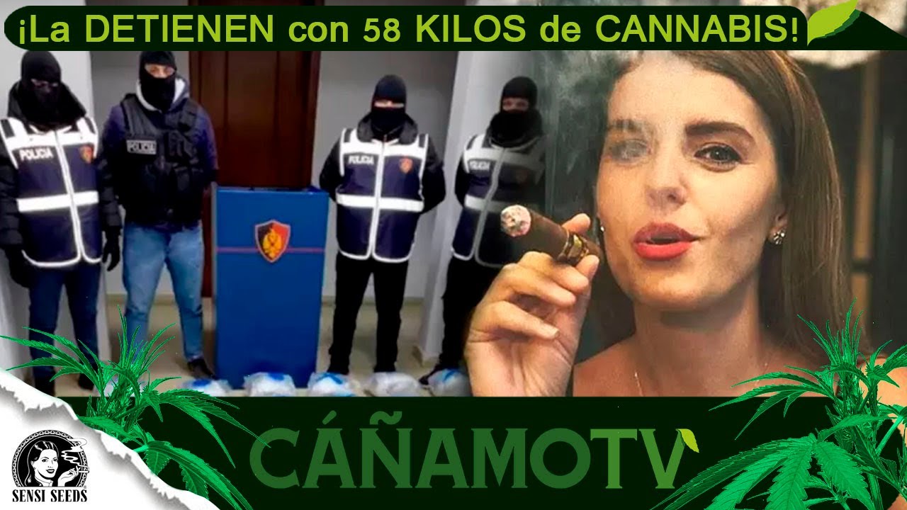 DETIENEN a una ALTO CARGO de ALBANIA con 58 KILOS de CANNABIS