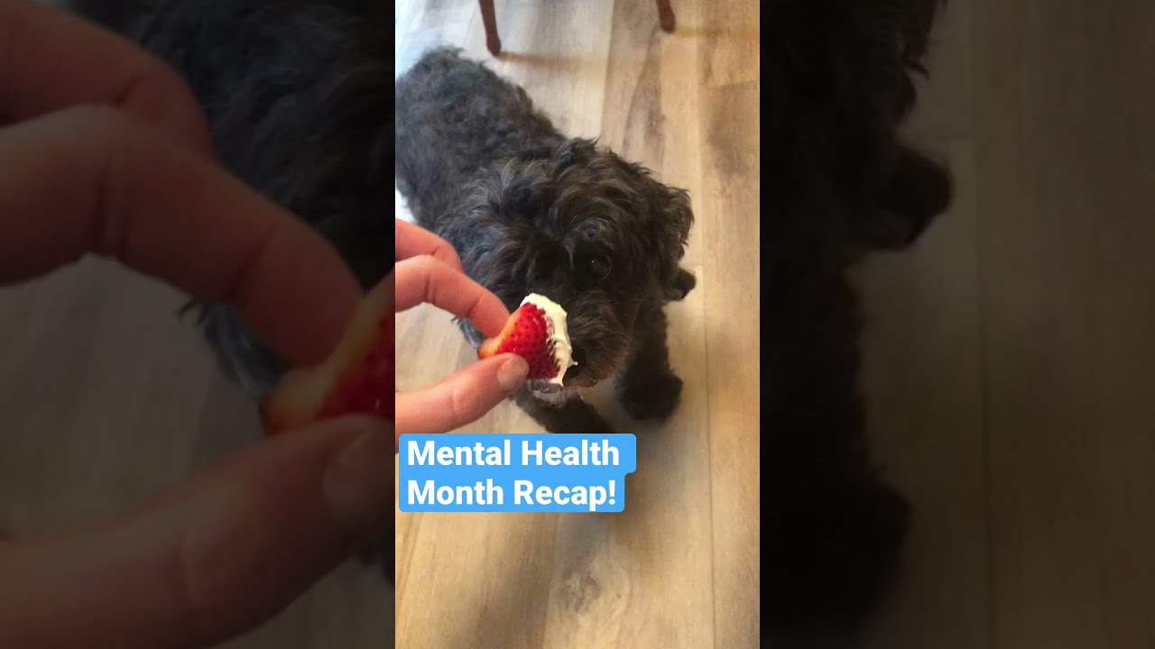 Mental Health Month Recap!