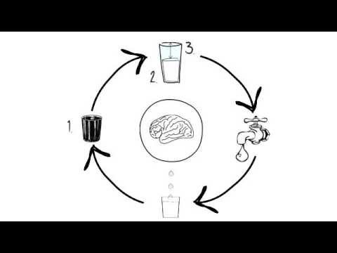 Mindshifts by Peter Senge