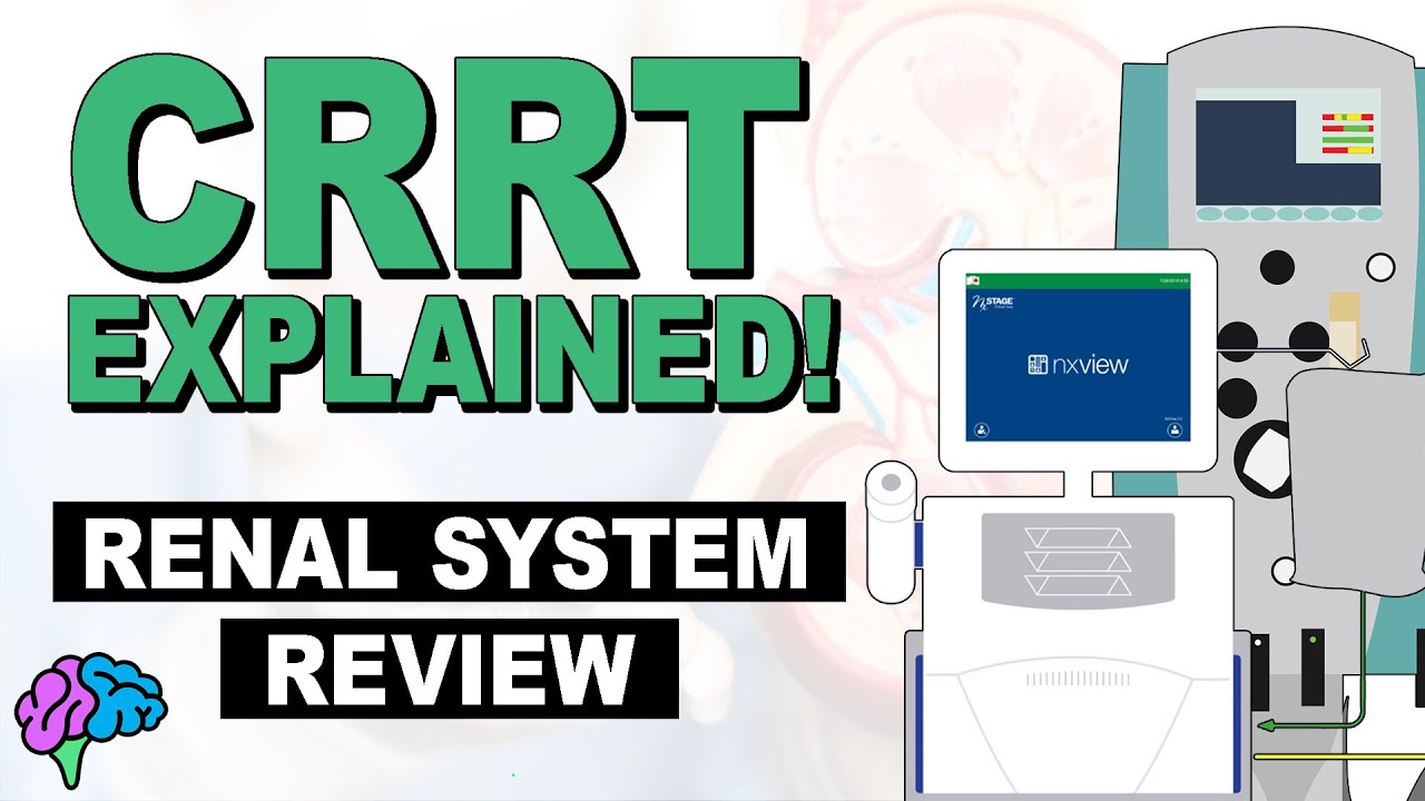 Renal System Review - CRRT Explained!