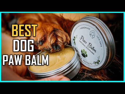 Top 5 Best Dog Paw Balm for Slipping/Snow/Summer/Hyperkeratosis/Winter & Allergies [Review 2023]