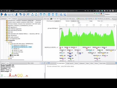 Search for TFBS in FASTA sequences