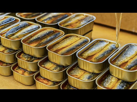 HOW SARDINES ARE DOSED – The INDUSTRIAL Process Revealed!