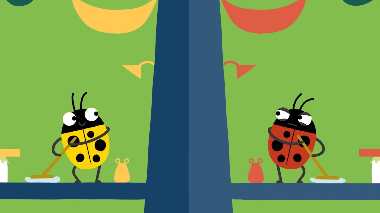 Animanimals: Ladybird