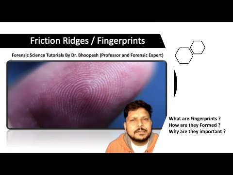 Science of Fingerprinting - Part 1 - The Friction Ridges