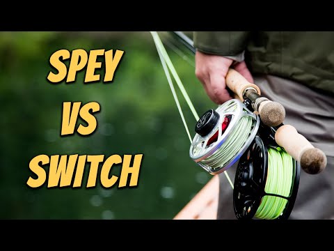 Spey Rod vs Switch Rods Explained (What's The Difference?)