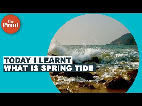 What is spring tide