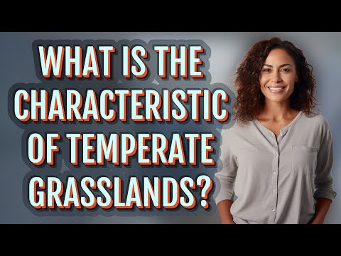 What is the characteristic of temperate grasslands?
