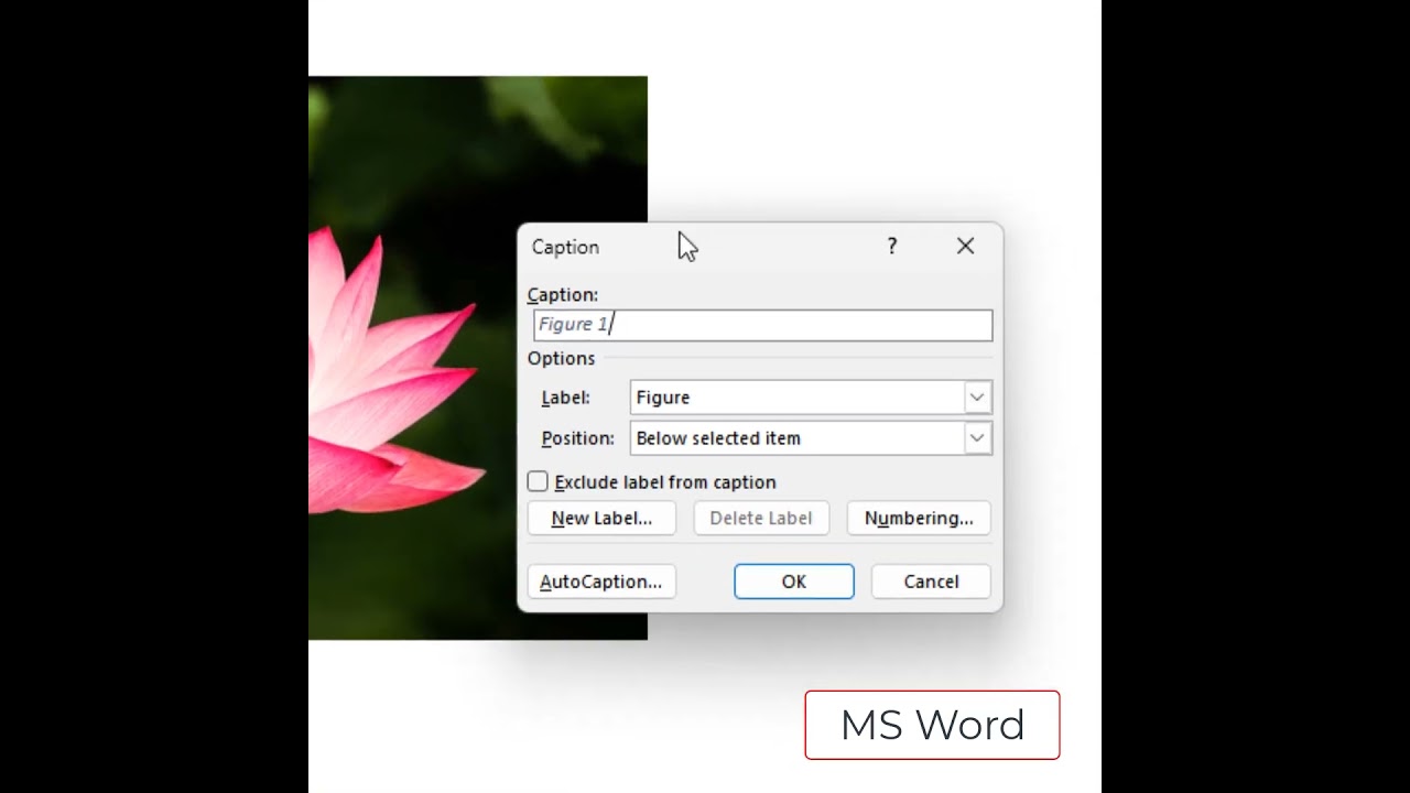 MS Word Inserting Image Captions
