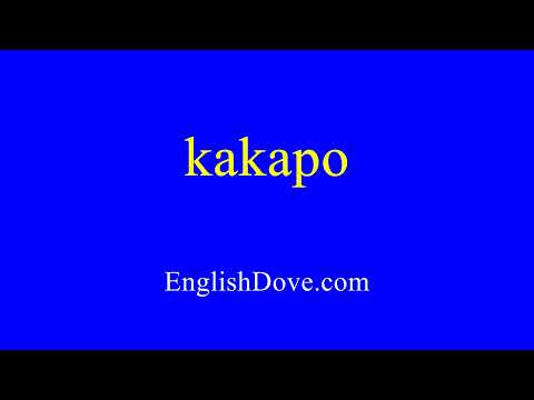 How to pronounce kakapo in American English