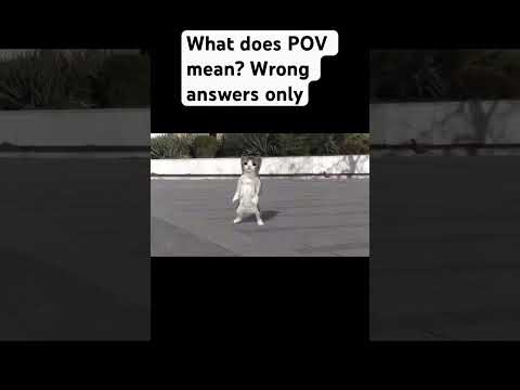 What does POV mean? Wrong answers only