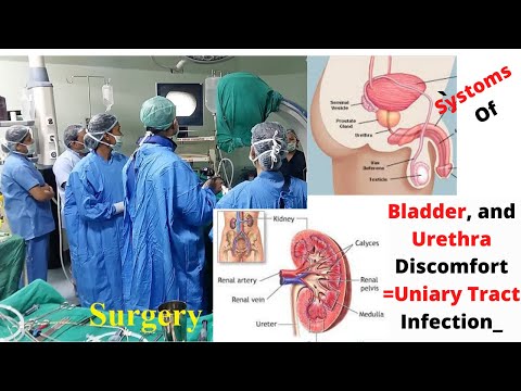 What Is Urology
