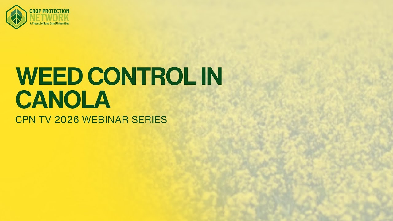 Weed Control in Canola