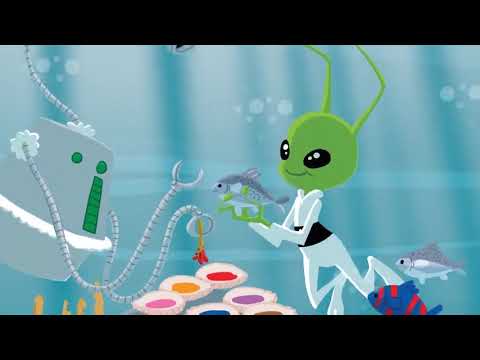 The Fish general grammar practice: English ESL video lessons