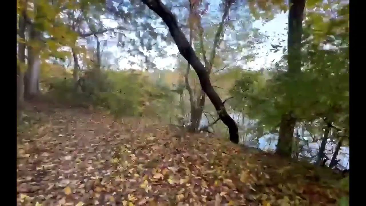 VMP to Trolley Trail