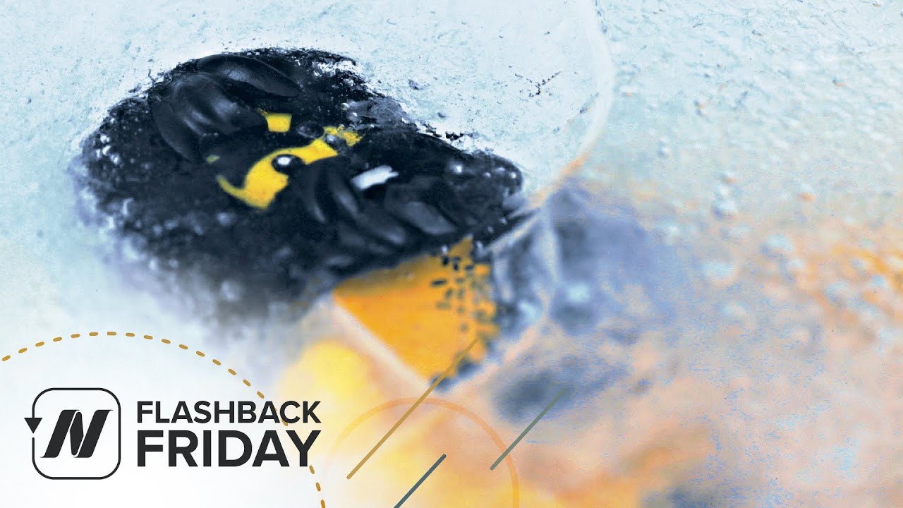 Flashback Friday: What's the Natural Human Diet?