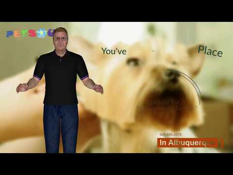Pets R Us In Albuquerque Westside