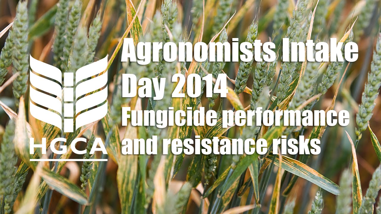 Fungicide performance and resistance risks