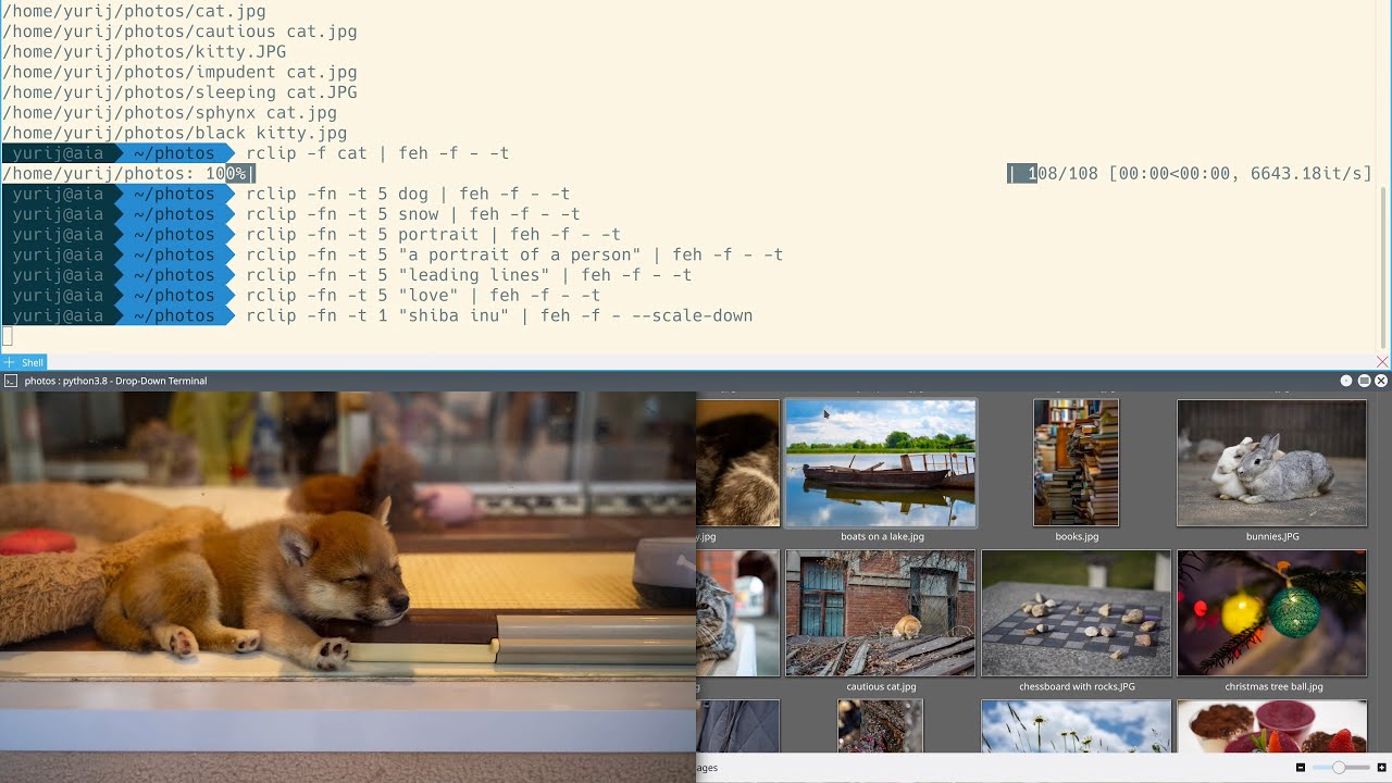 rclip: An AI-Powered Command-Line Photo Search Tool Built With OpenAI's CLIP