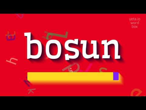 How to say "bosun"! (High Quality Voices)