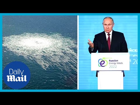 Putin says Nord Stream sabotage is 'act of international terrorism' | Russia Ukraine war