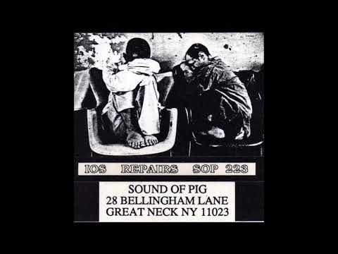 Illusion Of Safety - Repairs - Cassette (Sound Of Pig 1988)