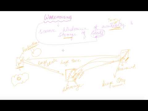 Four Basic Types of Warehouses | People Centre
