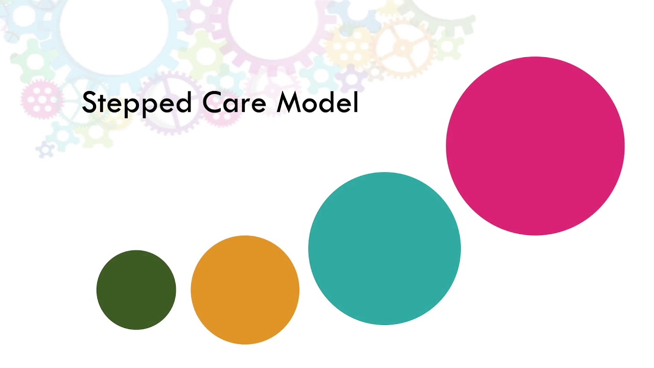 6   Mental Health Services Presentation