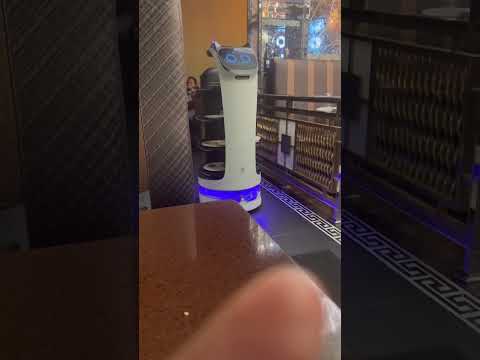 Bellabot Robot!!!
