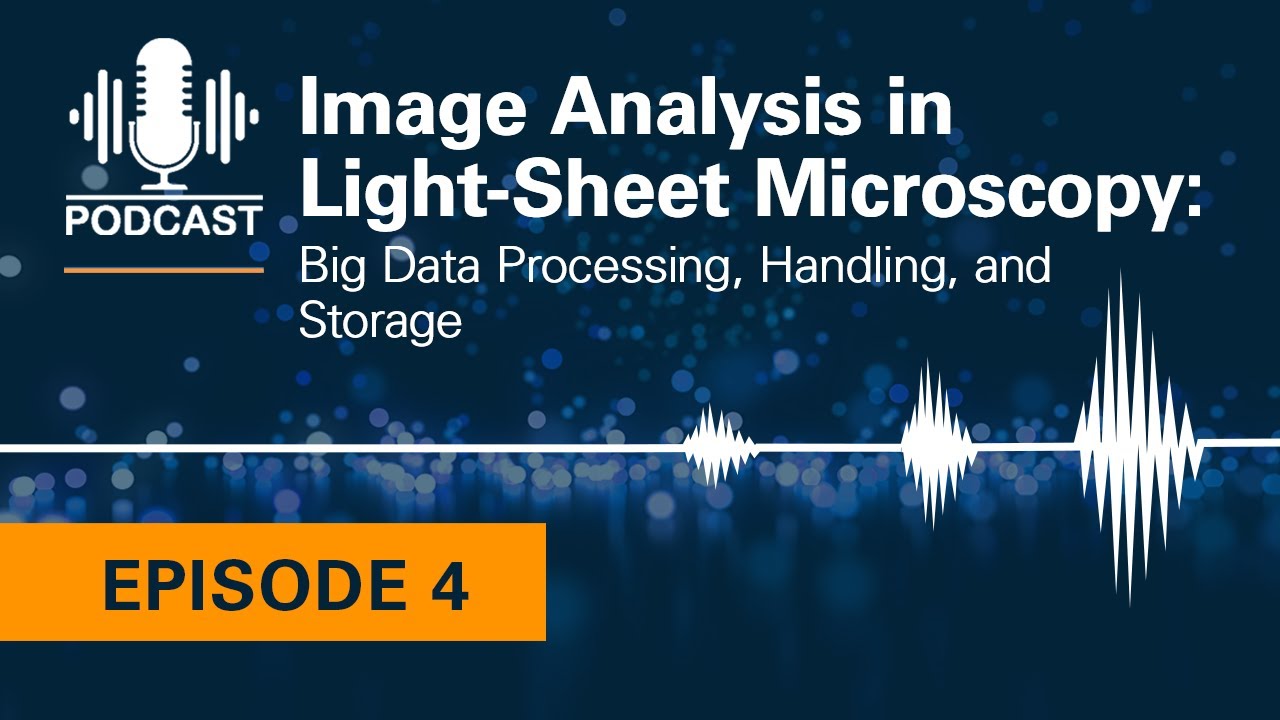 Image Analysis in Light-Sheet Microscopy: Big Data Processing, Handling, and Storage