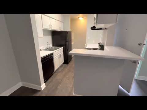South Lamar apartment living in Austin Texas | Apartments of Austin