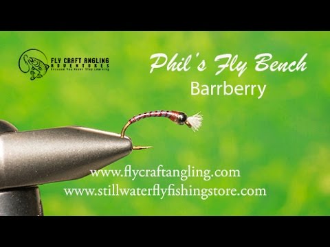 Barrberry