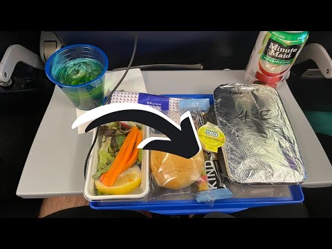 Why Isnโt The United Airlines Vegan Meal Vegan?? Truth