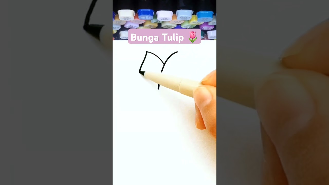 menggambar bunga tulip #menggambar #drawing #bunga #flowers #tulip #bungatulip #shortvideo #fyp