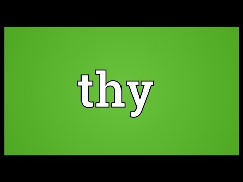 Thy Meaning