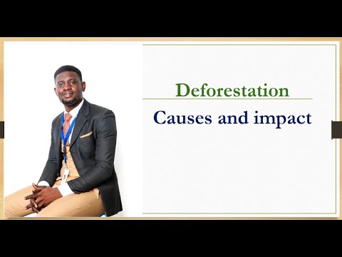 IGCSE GEOGRAPHY Deforestation