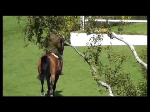 Marcel Ewen rides Orgueil Fontaine in the Carpetright Derby