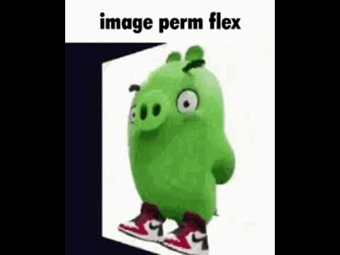 that moment when image perms:
