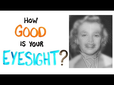 Do You See a Mermaid or a Fish? | Viral Donkey-Seal Illusion