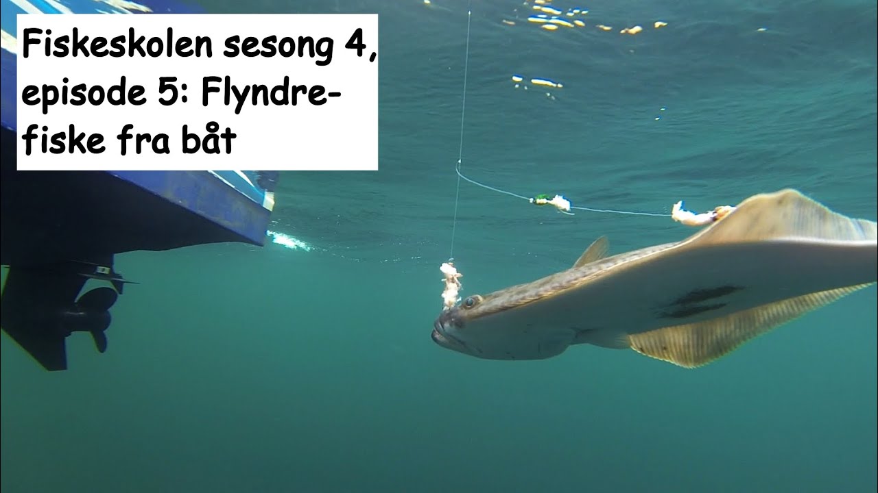 Flyndrefiske fra båt
