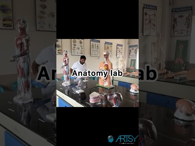 Nursing Lab Equipments - Advanced Nursing Laboratory Set Up In India ...