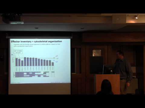 Pathogen manipulation of plant actin cytoskeletal dynamics: Old effectors, new targets