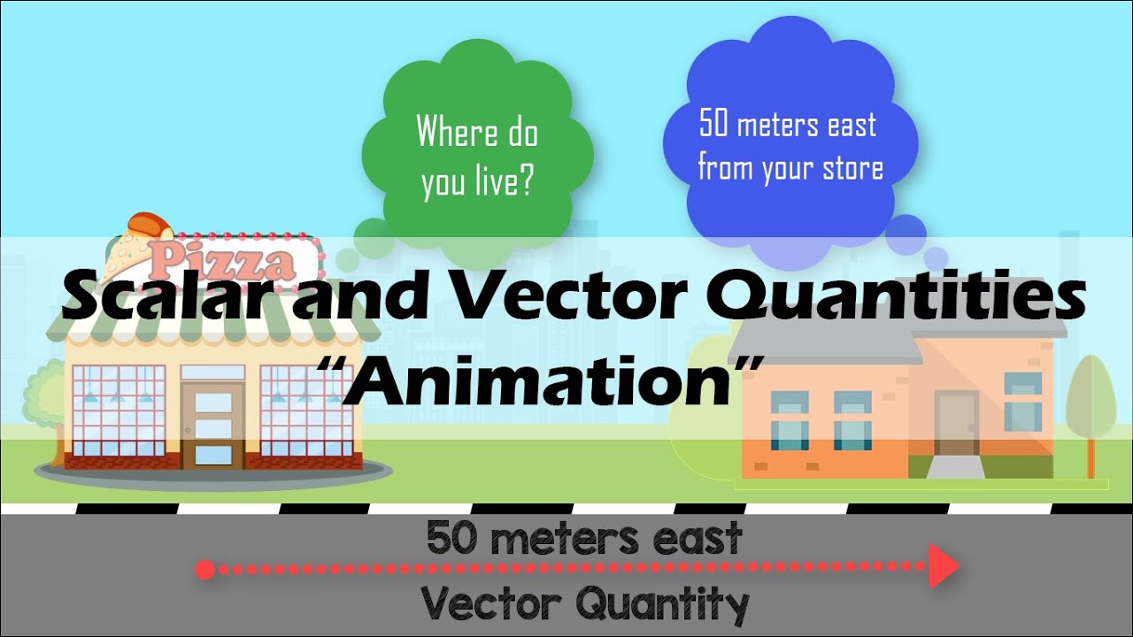 SCALAR & VECTOR | Physics Animation
