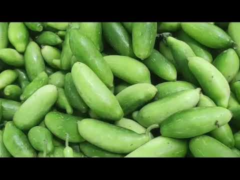 Ivy Gourd - Wholesale Price & Mandi Rate for Ivy Gourd