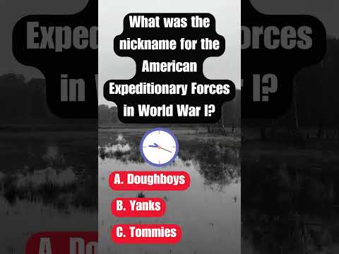What was the nickname for the American Expeditionary Forces in World War I? | Beeblazer by AI