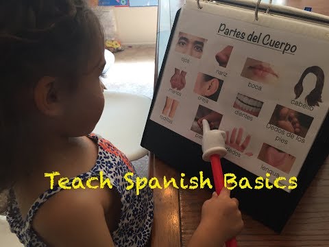 Spanish Learning Folder: Teach All Spanish Basics